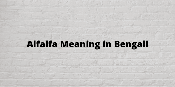Alfalfa Meaning In Bengali - বাংলা অর্থ