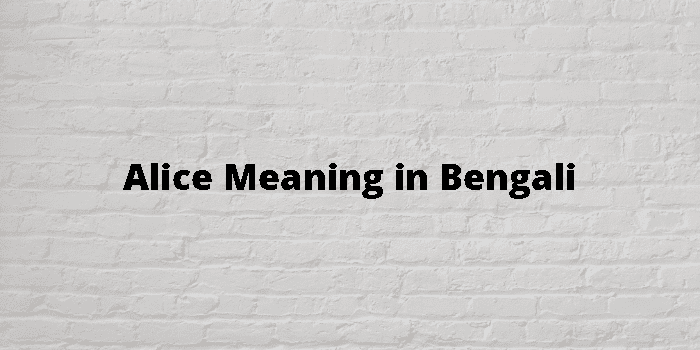 Alice Meaning In Bengali - বাংলা অর্থ