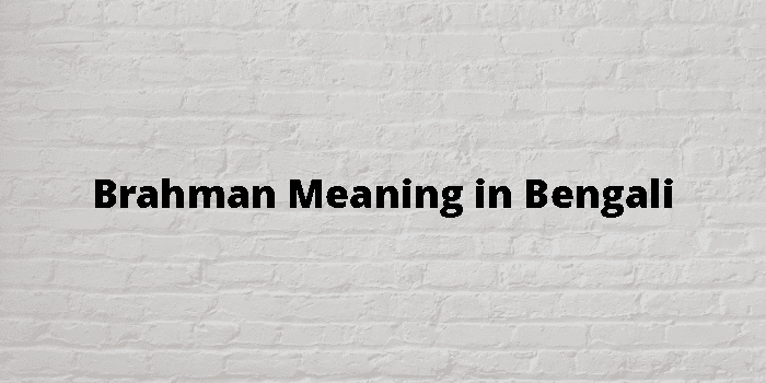 Brahman Meaning In Bengali - বাংলা অর্থ
