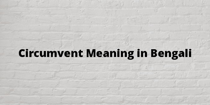 Circumvent Meaning In Bengali - বাংলা অর্থ