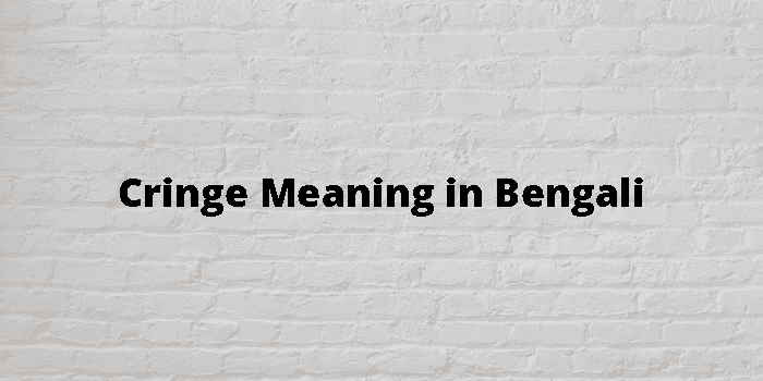 Cringe Meaning In Bengali - বাংলা অর্থ