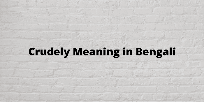 Crudely Meaning In Bengali - বাংলা অর্থ