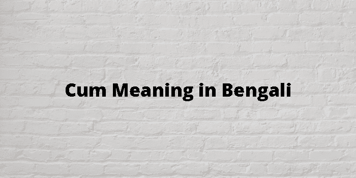 Cum Meaning In Bengali বাংলা অর্থ 7304