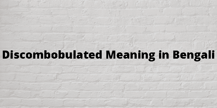 Discombobulated Meaning In Bengali - বাংলা অর্থ