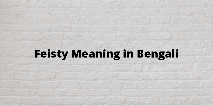 Feisty Meaning In Bengali - বাংলা অর্থ
