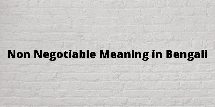 Non Negotiable Meaning In Bengali - বাংলা অর্থ