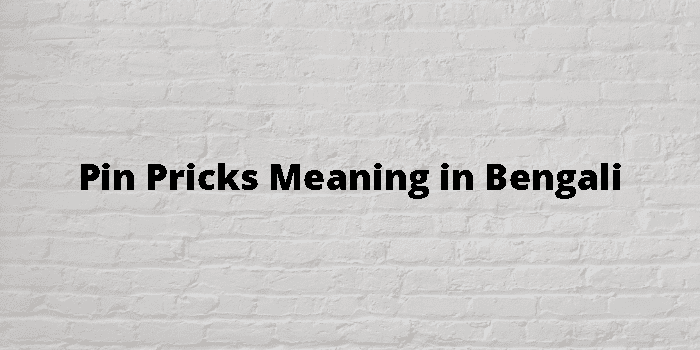 Pin Pricks Meaning In Bengali - বাংলা অর্থ
