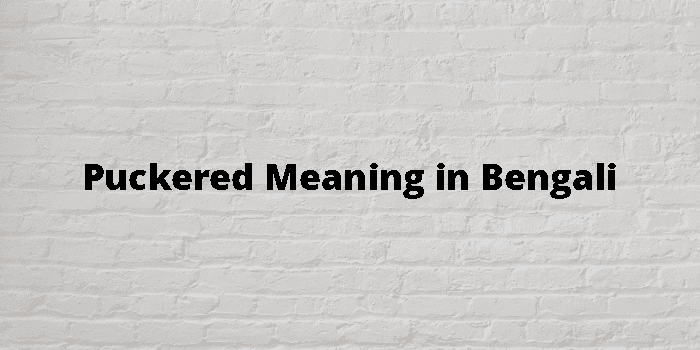 Puckered Meaning In Bengali - বাংলা অর্থ