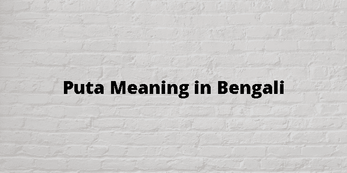 Puta Meaning In Bengali - বাংলা অর্থ