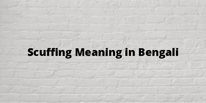 Scuffing Meaning In Bengali - বাংলা অর্থ