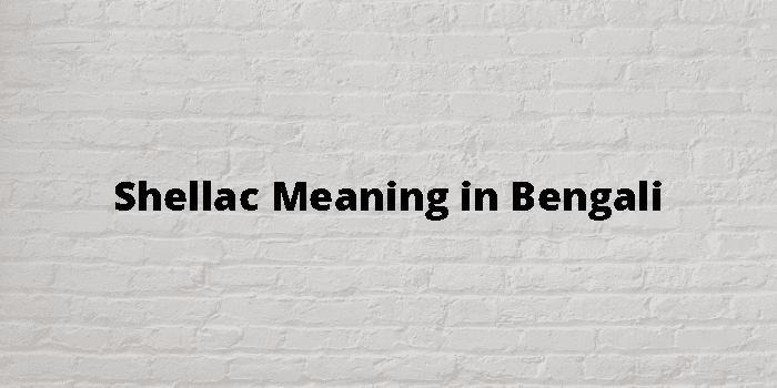 Shellac Meaning In Bengali - বাংলা অর্থ