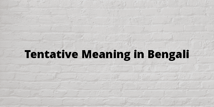 Tentative Meaning In Bengali - বাংলা অর্থ