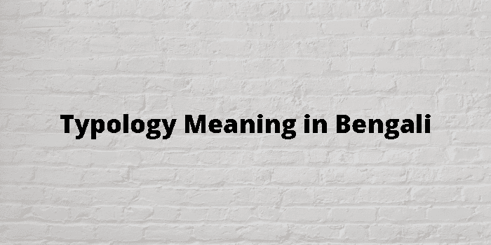 Typology Meaning In Bengali - বাংলা অর্থ