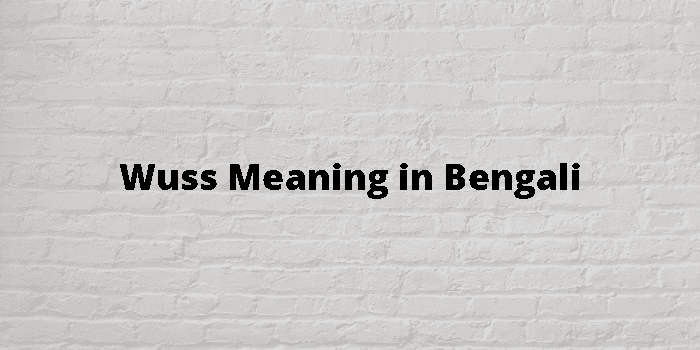 Wuss Meaning In Bengali - বাংলা অর্থ