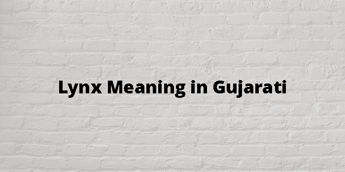Lynx Meaning In Gujarati - ગુજરાતી અર્થ