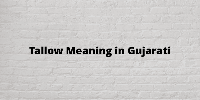 Tallow Meaning In Gujarati - ગુજરાતી અર્થ