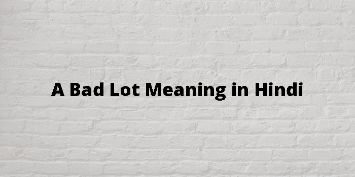 A Bad Lot Meaning In Hindi - हिंदी अर्थ