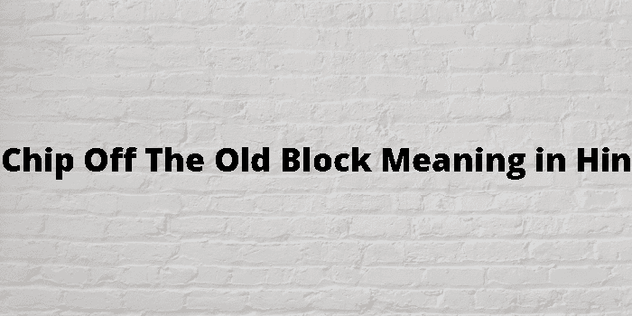 A Chip Off The Old Block Meaning In Hindi - हिंदी अर्थ