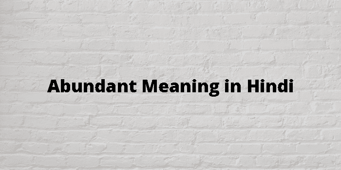 Abundant Meaning In Hindi - हिंदी अर्थ