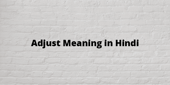 Adjust Meaning In Hindi - हिंदी अर्थ