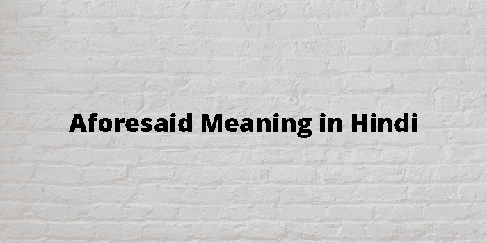 Aforesaid Meaning In Hindi - हिंदी अर्थ