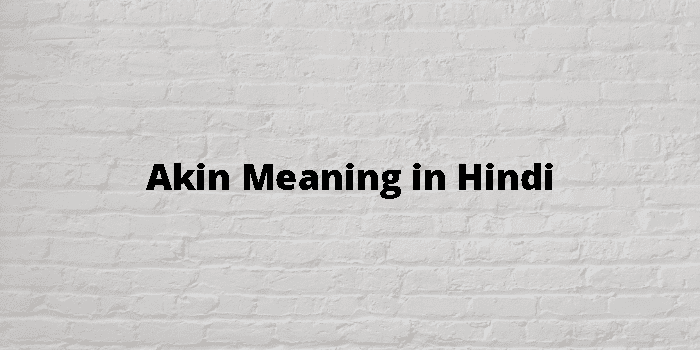 Akin Meaning In Hindi - हिंदी अर्थ