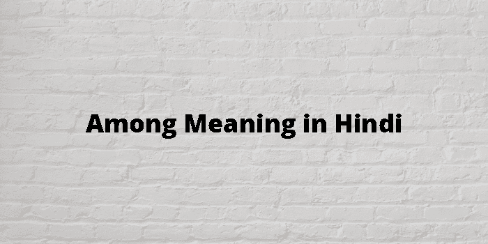 Among Meaning In Hindi - हिंदी अर्थ