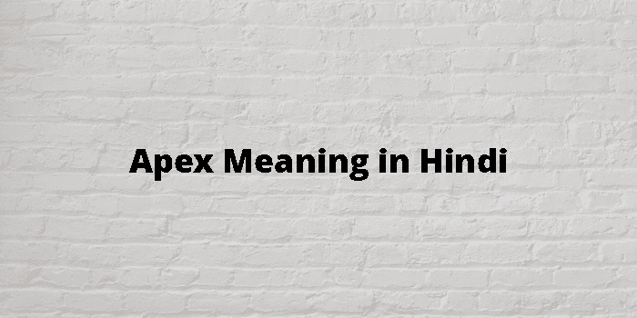 Apex Meaning In Hindi - हिंदी अर्थ