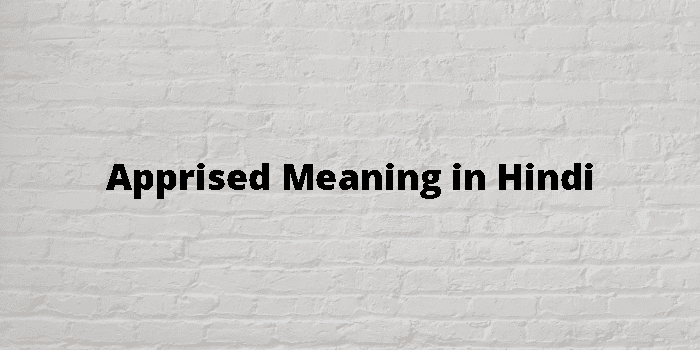 Apprised Meaning In Hindi - हिंदी अर्थ
