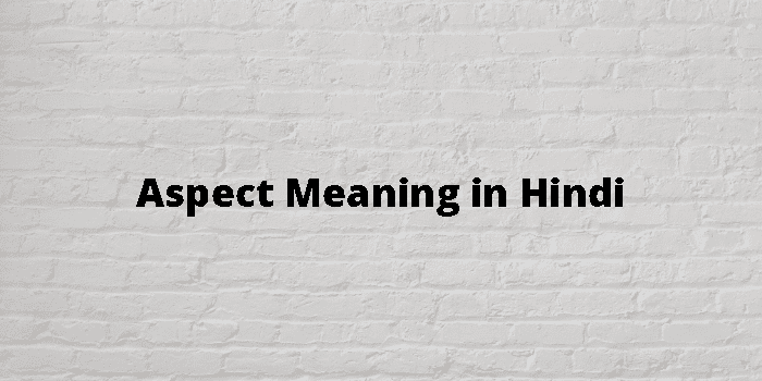 Aspect Meaning In Hindi - हिंदी अर्थ
