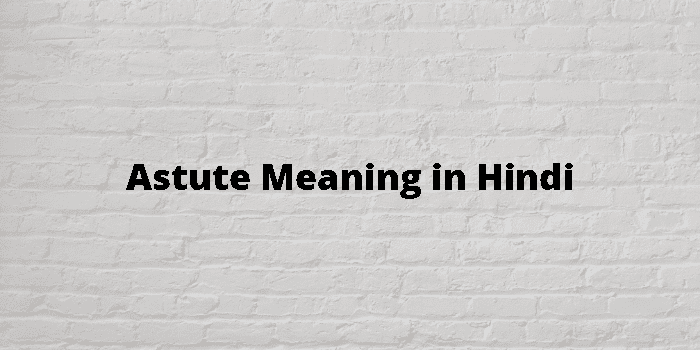 Astute Meaning In Hindi - हिंदी अर्थ