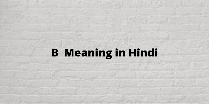 B Meaning In Hindi - हिंदी अर्थ