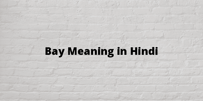 Bay Meaning In Hindi - हिंदी अर्थ
