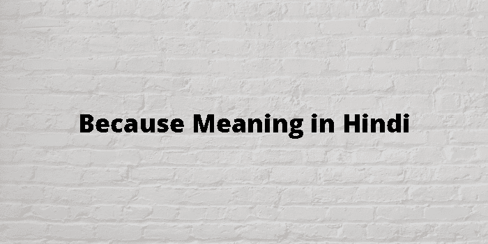 Because Meaning In Hindi - हिंदी अर्थ