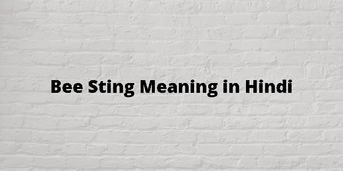 Bee Sting Meaning In Hindi - हिंदी अर्थ