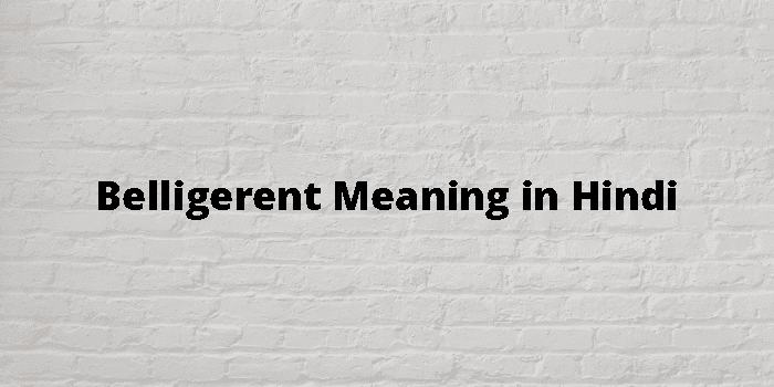 Belligerent Meaning In Hindi - हिंदी अर्थ