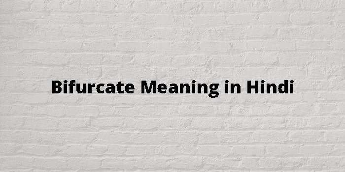 Bifurcate Meaning In Hindi - हिंदी अर्थ