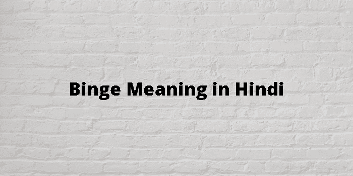 Binge Meaning In Hindi - हिंदी अर्थ