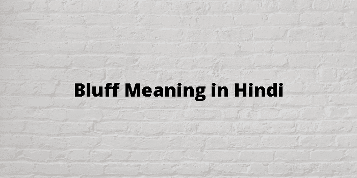 Bluff Meaning In Hindi - हिंदी अर्थ