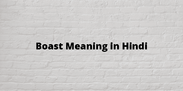 Boast Meaning In Hindi - हिंदी अर्थ