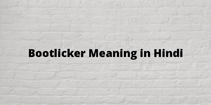 Bootlicker Meaning In Hindi - हिंदी अर्थ