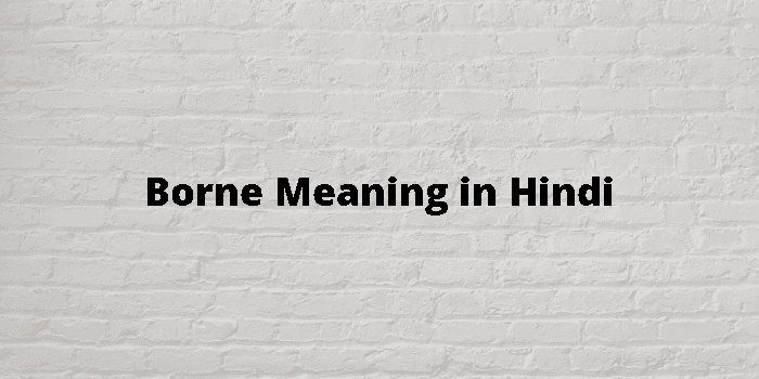 Borne Meaning In Hindi - हिंदी अर्थ