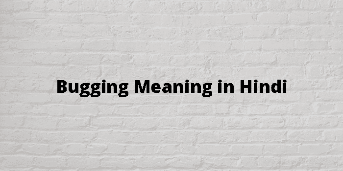 Bugging Meaning In Hindi - हिंदी अर्थ