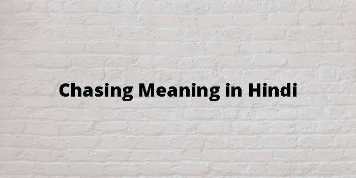 Chasing Meaning In Hindi - हिंदी अर्थ