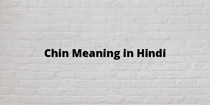 Chin Meaning In Hindi - हिंदी अर्थ