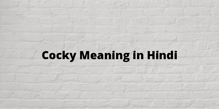 Cocky Meaning In Hindi - हिंदी अर्थ