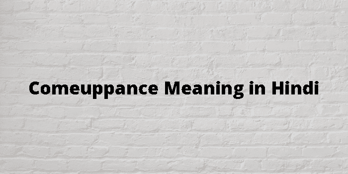 Comeuppance Meaning In Hindi - हिंदी अर्थ