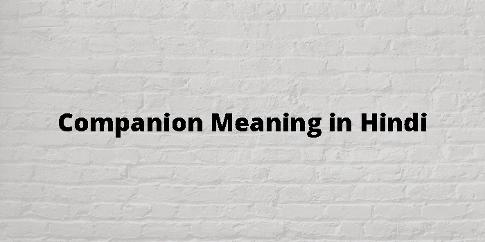 Companion Meaning In Hindi - हिंदी अर्थ