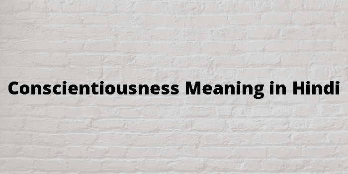 Conscientiousness Meaning In Hindi - हिंदी अर्थ