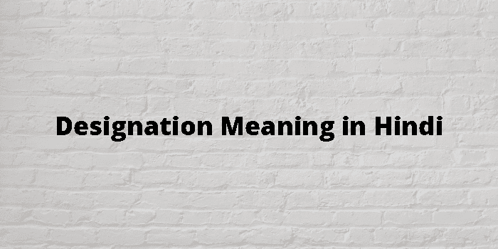 Designation Meaning In Hindi - हिंदी अर्थ